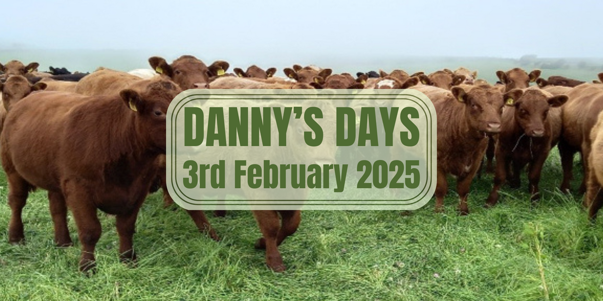 Danny's Days - 3rd February 2024 — Lidgates Butchers