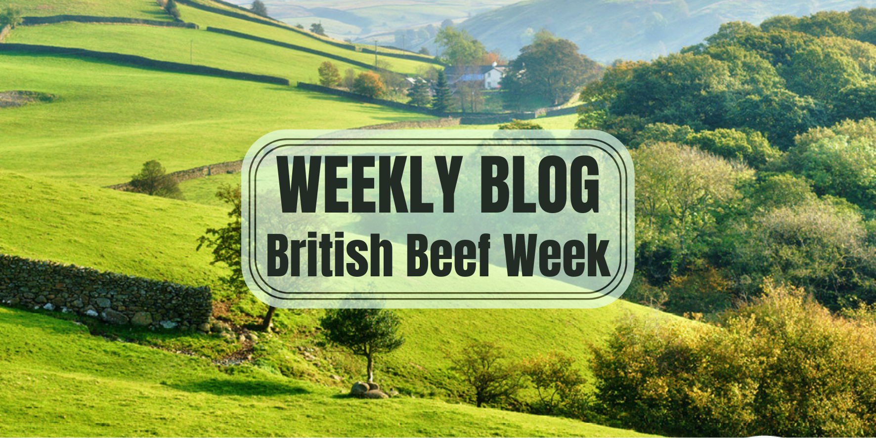Great British Beef Week — Lidgates Butchers
